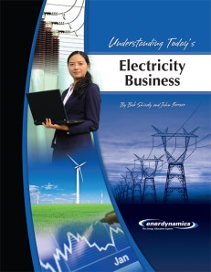 Suggested Reading on Electric Market Dynamics | Enerdynamics